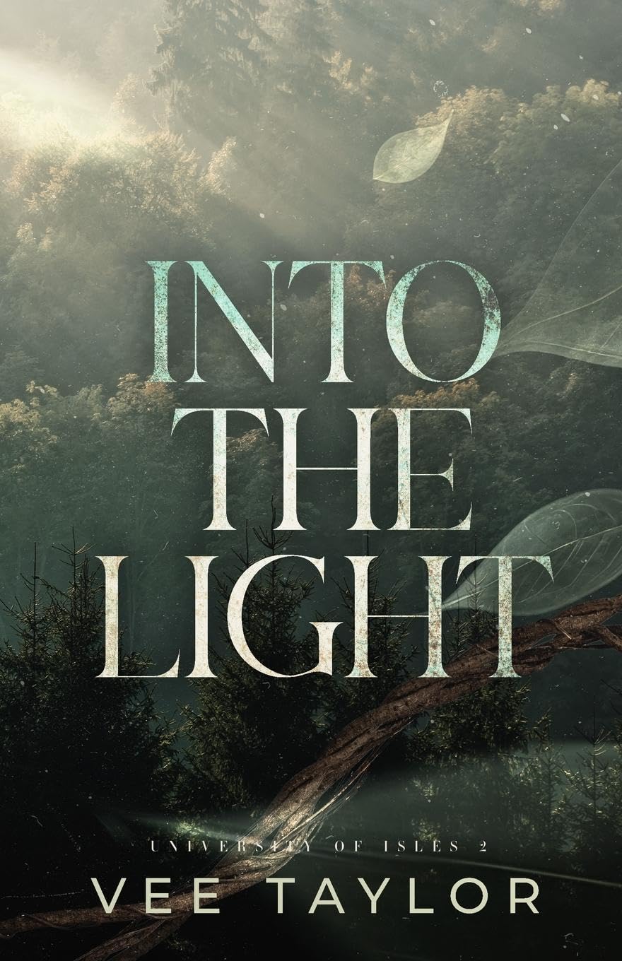 INTO THE LIGHT by VEE TAYLOR – Heartbound Book Shop